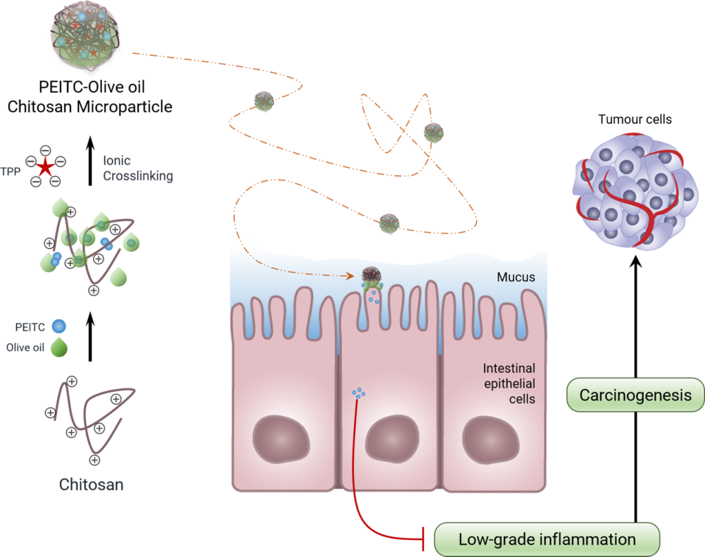 Drug Delivery - PLOS Collections
