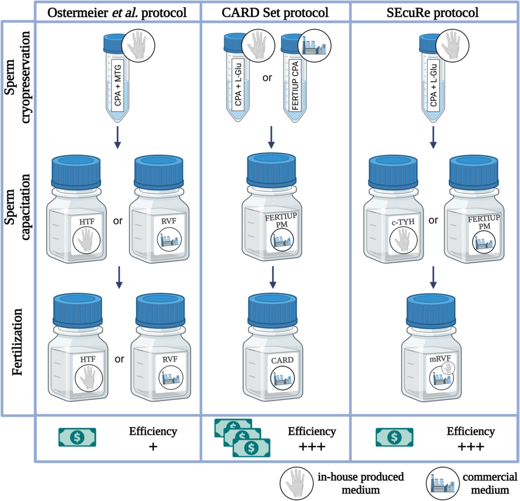 Lab Protocols - PLOS Collections
