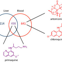 Malaria: Targets and Drugs for All Stages - PLOS Collections