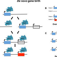 PLOS Genetics Topic Pages - PLOS Collections