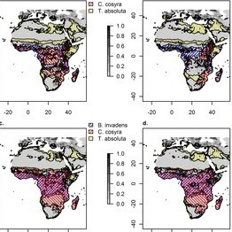 Ecological Impacts of Climate Change - PLOS Collections