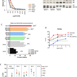 Malaria: Targets and Drugs for All Stages - PLOS Collections