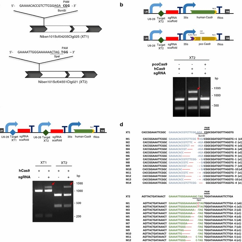 Synthetic Biology: Biological Parts - PLOS Collections