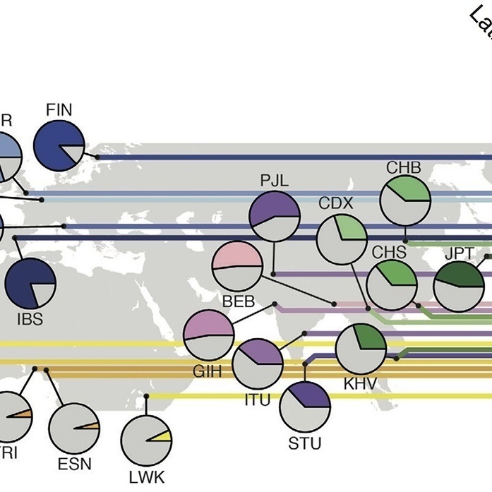 PLOS Genetics Top 10% - PLOS Collections