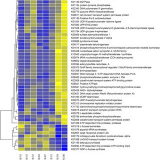 PLOS Genetics Research Prize - PLOS Collections