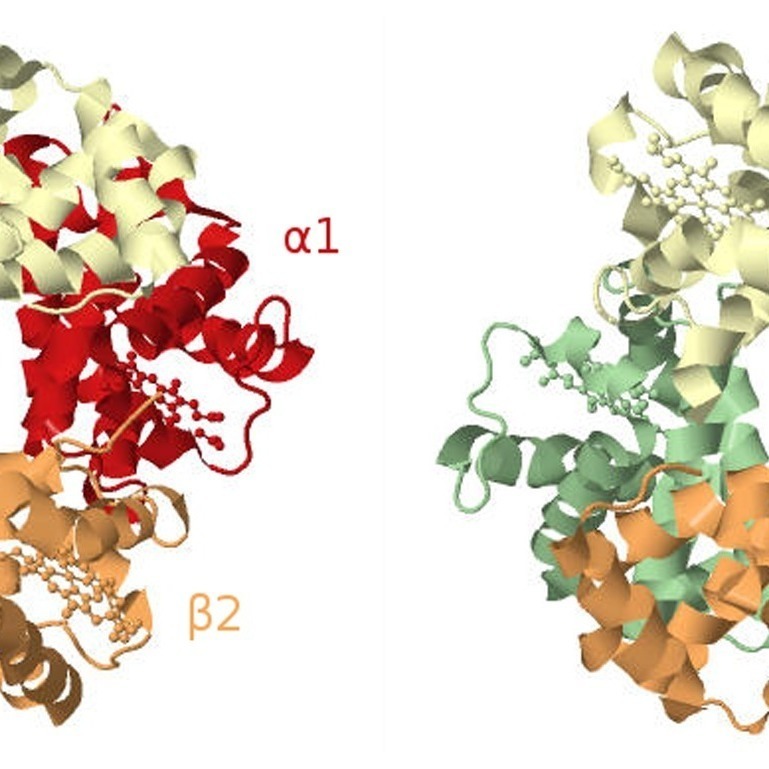 PLOS Genetics Topic Pages - PLOS Collections