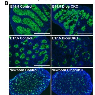 PLOS ONE 10 Year Anniversary Collection: The Must Downloads - PLOS ...