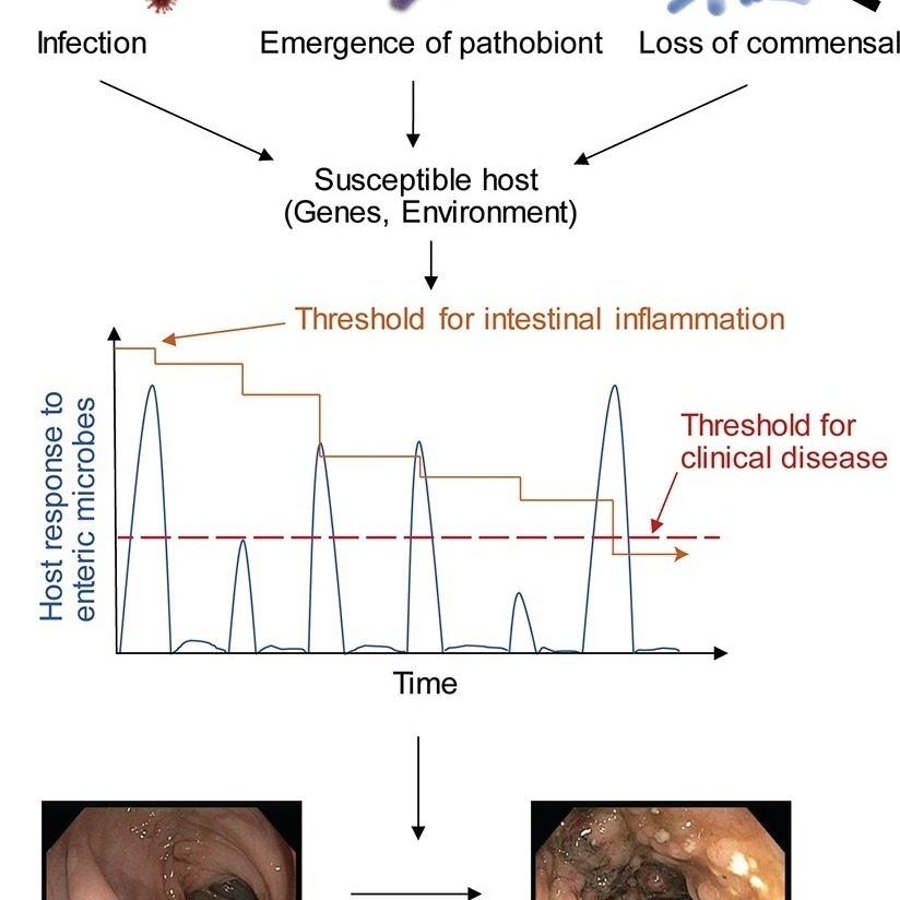 Pearls: Bacteria - PLOS Collections